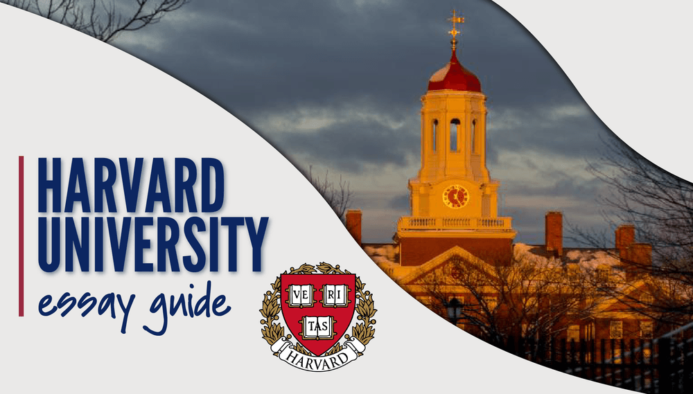 College Essay Guides - Find the 100 Free Info at College Advisor