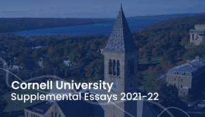 College Essay Guides - Find the 100 Free Info at College Advisor