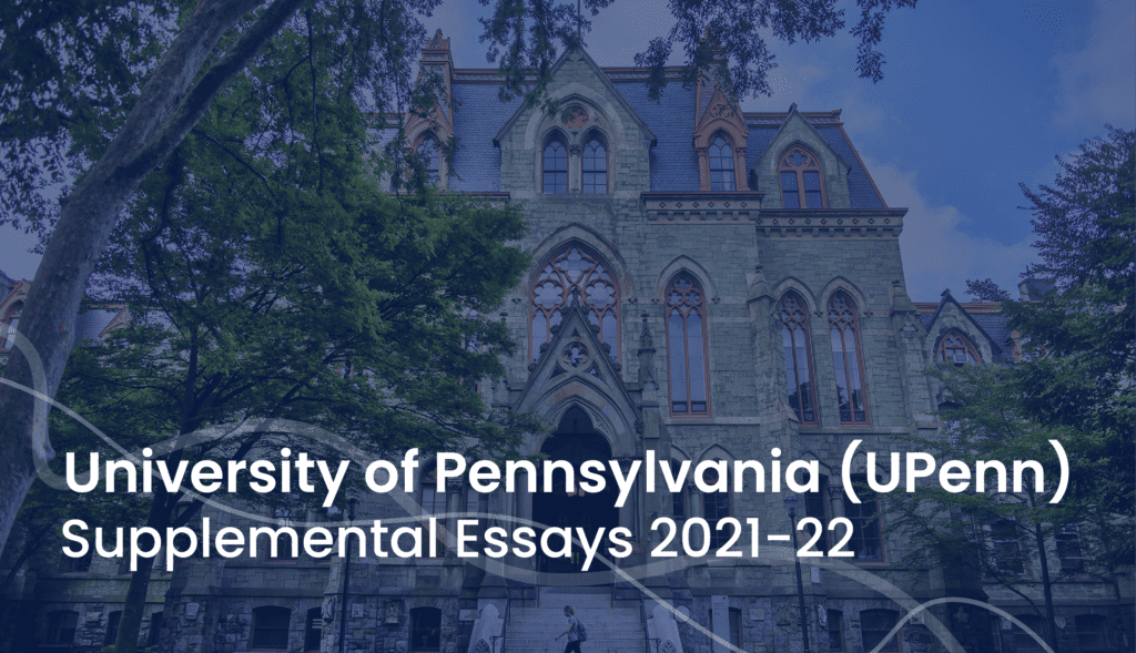 College Essay Guides Find The 100 Free Info At College Advisor college-essay-guides-find-the-100-free-info-at-college-advisor