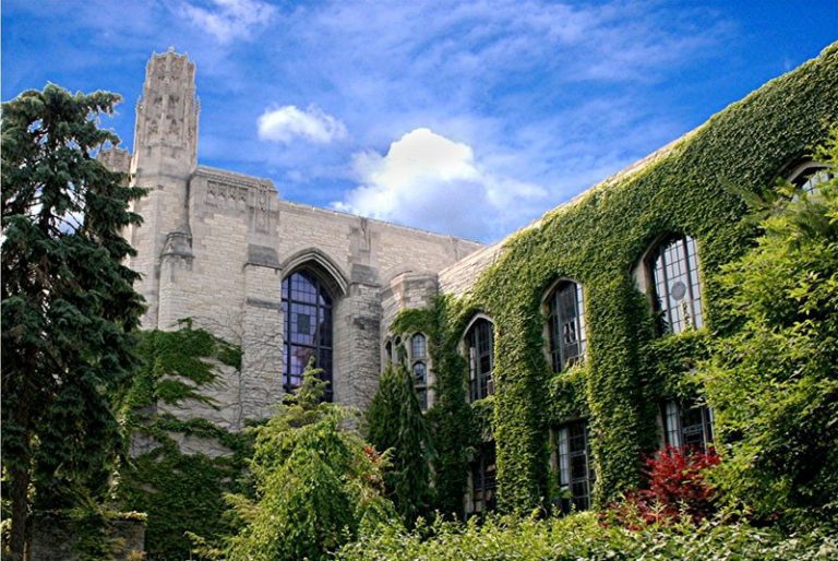 Average GPA for College | GPA Requirements | College GPA Requirements