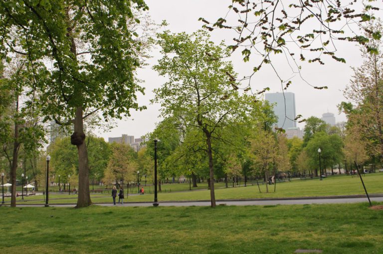 Brandeis University Ranking & Brandeis Rankings - Expert Info