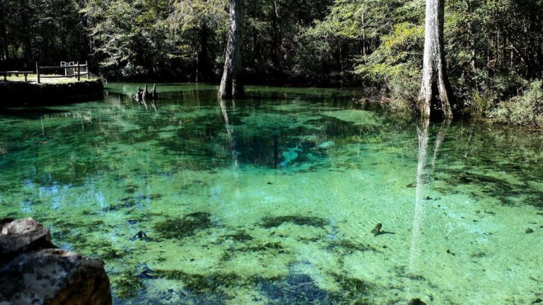 25 Best Test-Optional Colleges & Test-Blind Colleges - Latest Info