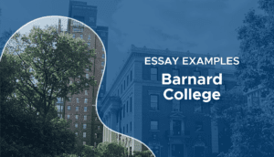 College Essay Guides - Find the 100 Free Info at College Advisor