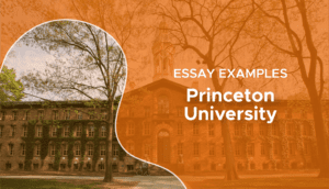 College Essay Guides - Find the 100 Free Info at College Advisor