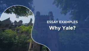 Yale University - CollegeAdvisor