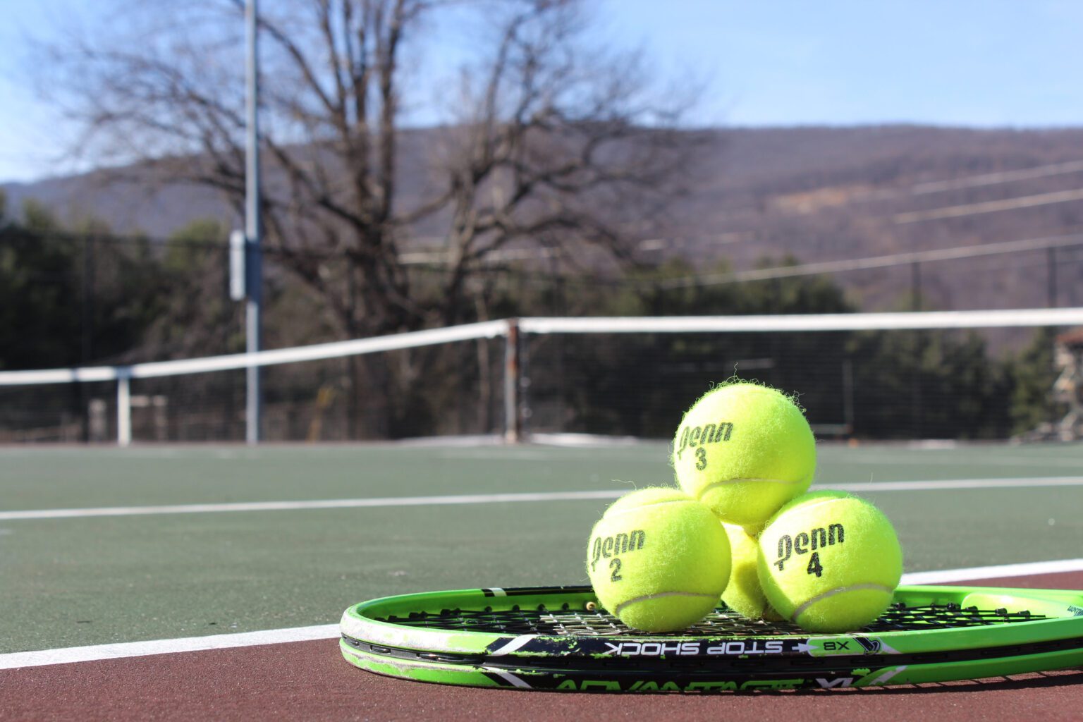 Extracurricular Activities Essay Examples - Latest Guide