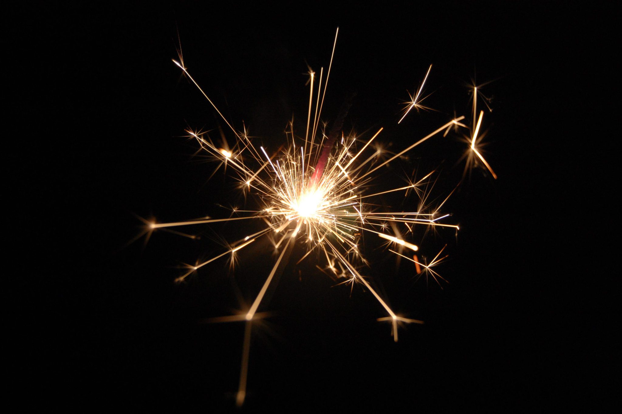 Stanford Essays Examples | Stanford Essays that Worked