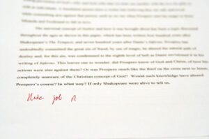 Princeton Essay Examples | Princeton Essays that Worked