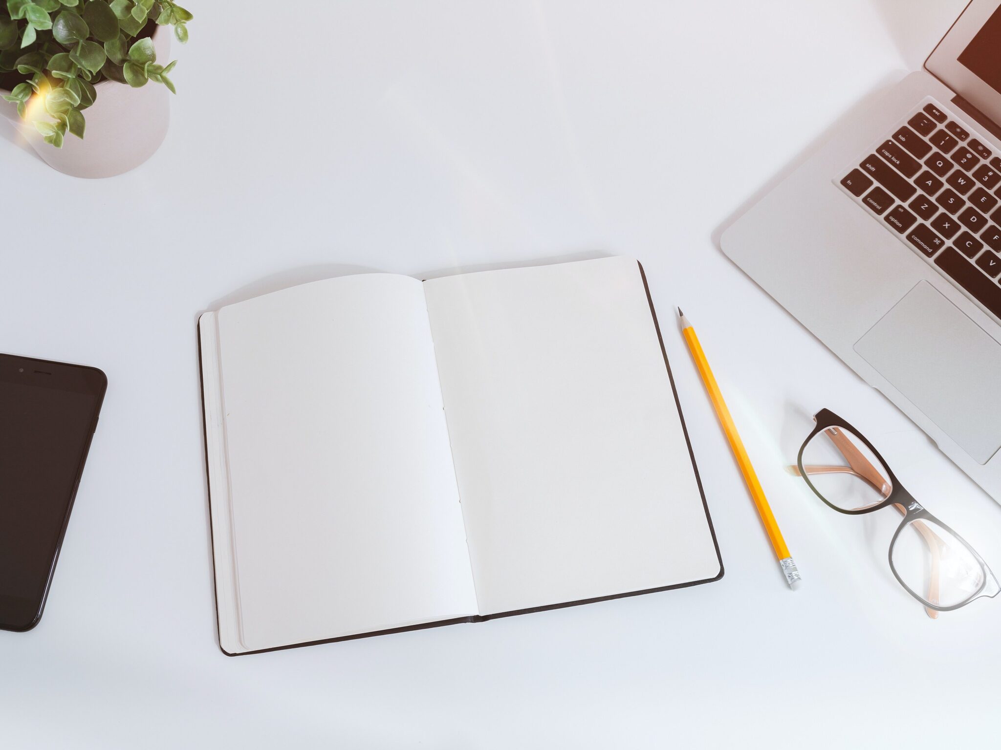 Stanford Majors & Stanford Majors and Minors - Expert Guide