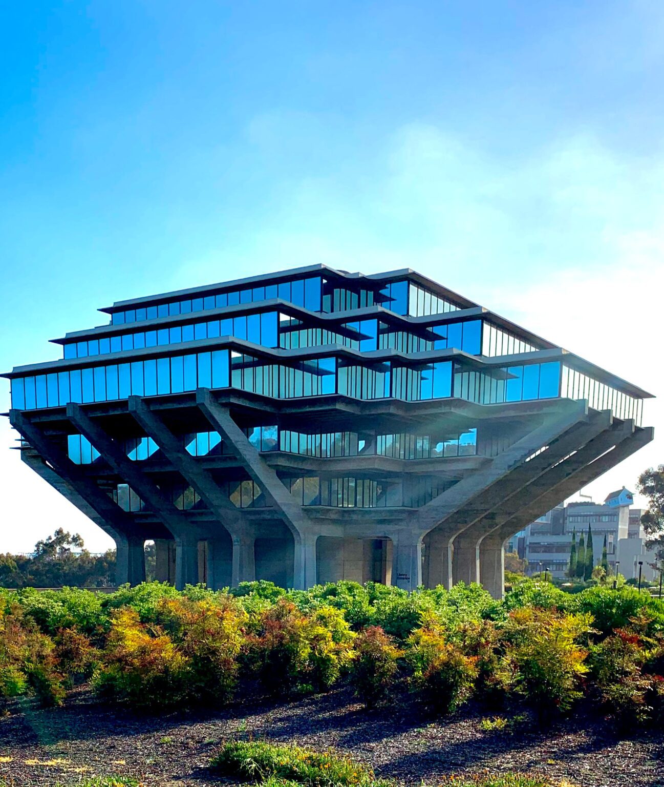 UC Application | UC Admission Requirements | UC Apply