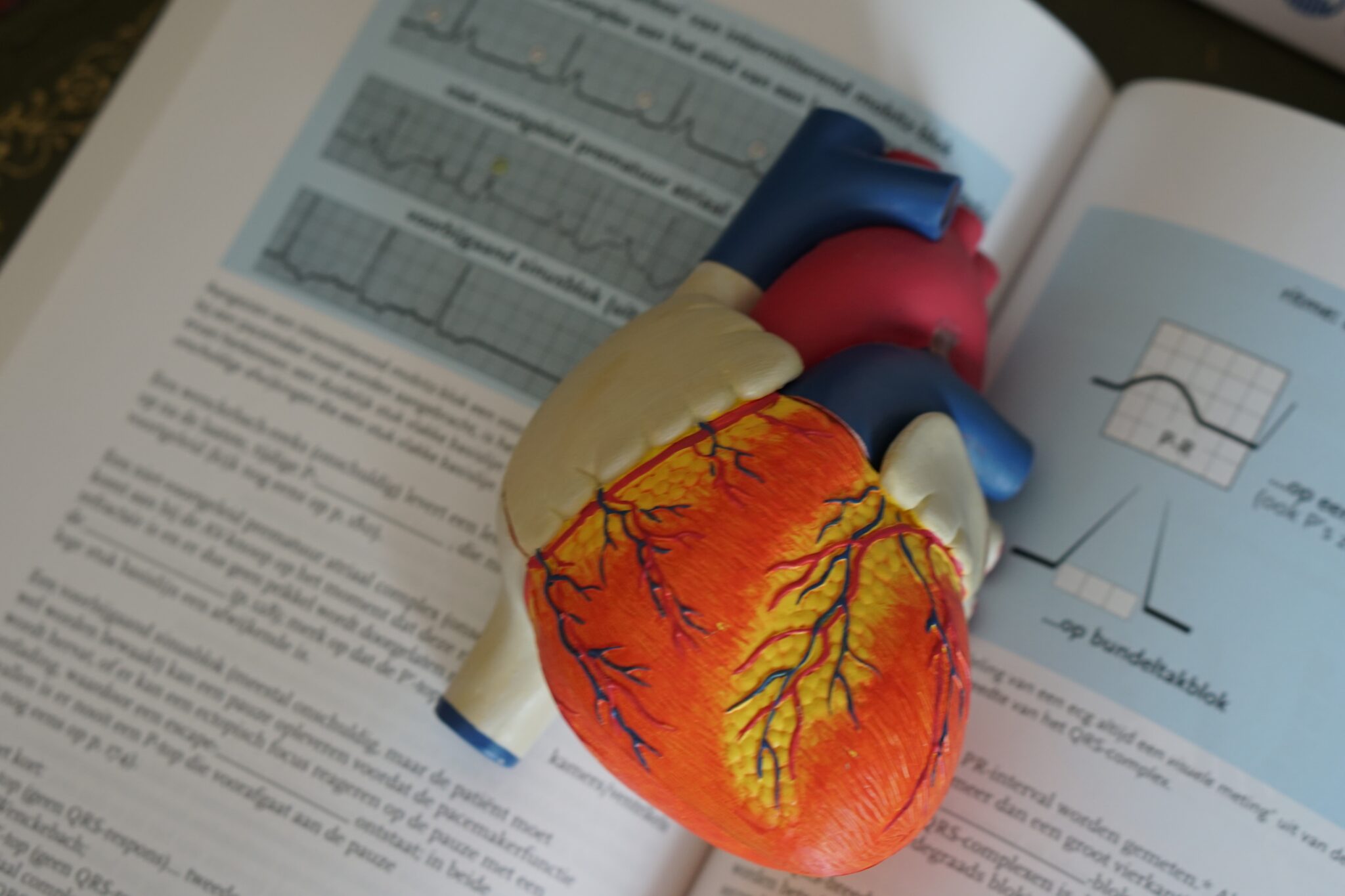 Best Pre Med Schools | Best Colleges for Pre Med