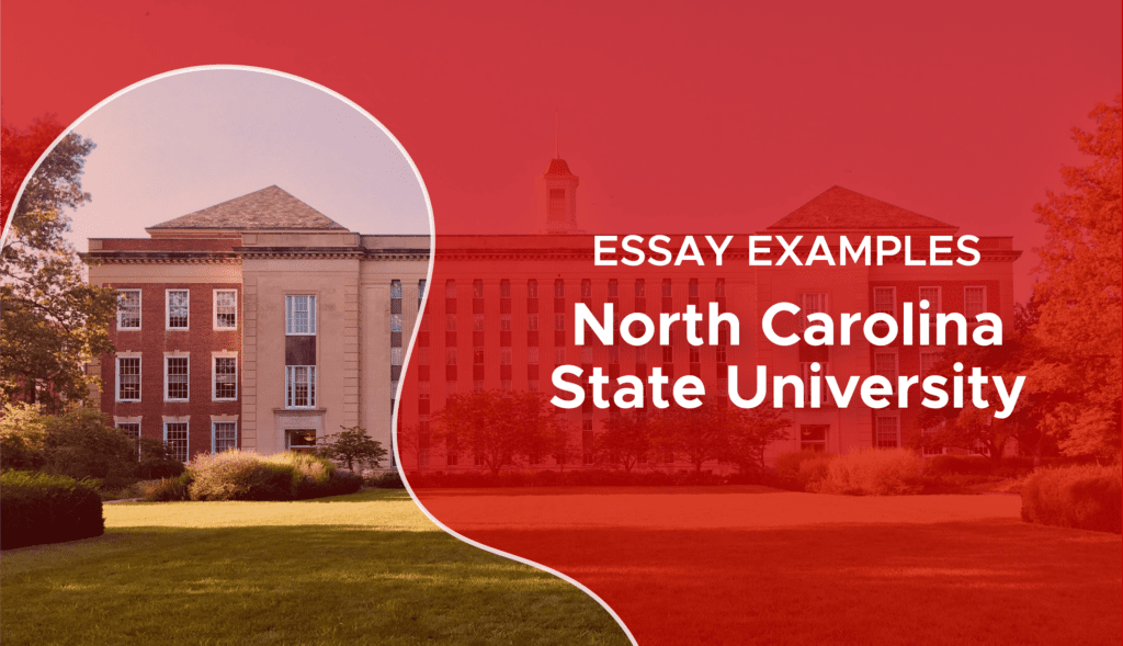 NC State Supplemental Essay Examples NC State Supplemental Essay Examples