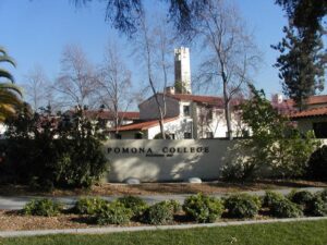 Why Major Essay |Why This Major Essay Example