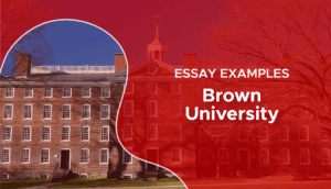 Brown University Acceptance Rate | Brown Majors | Brown Admissions
