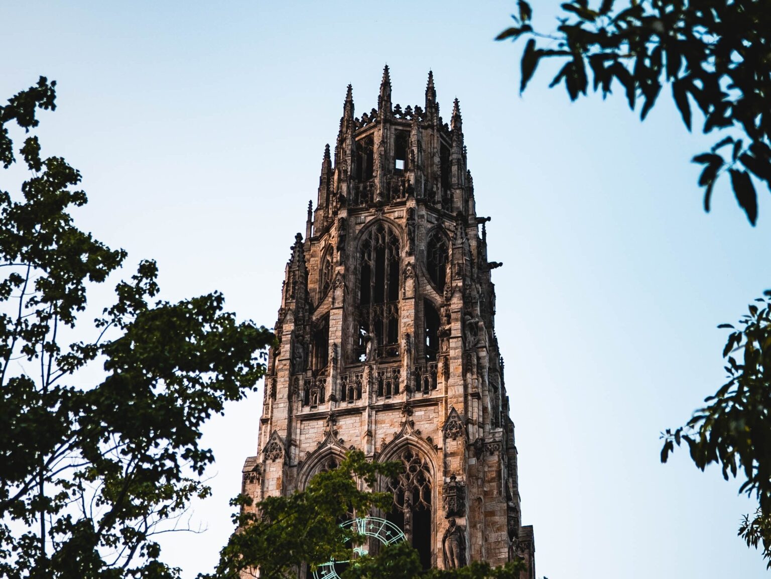 Ivy League Essay Examples | College Essay Examples Ivy League